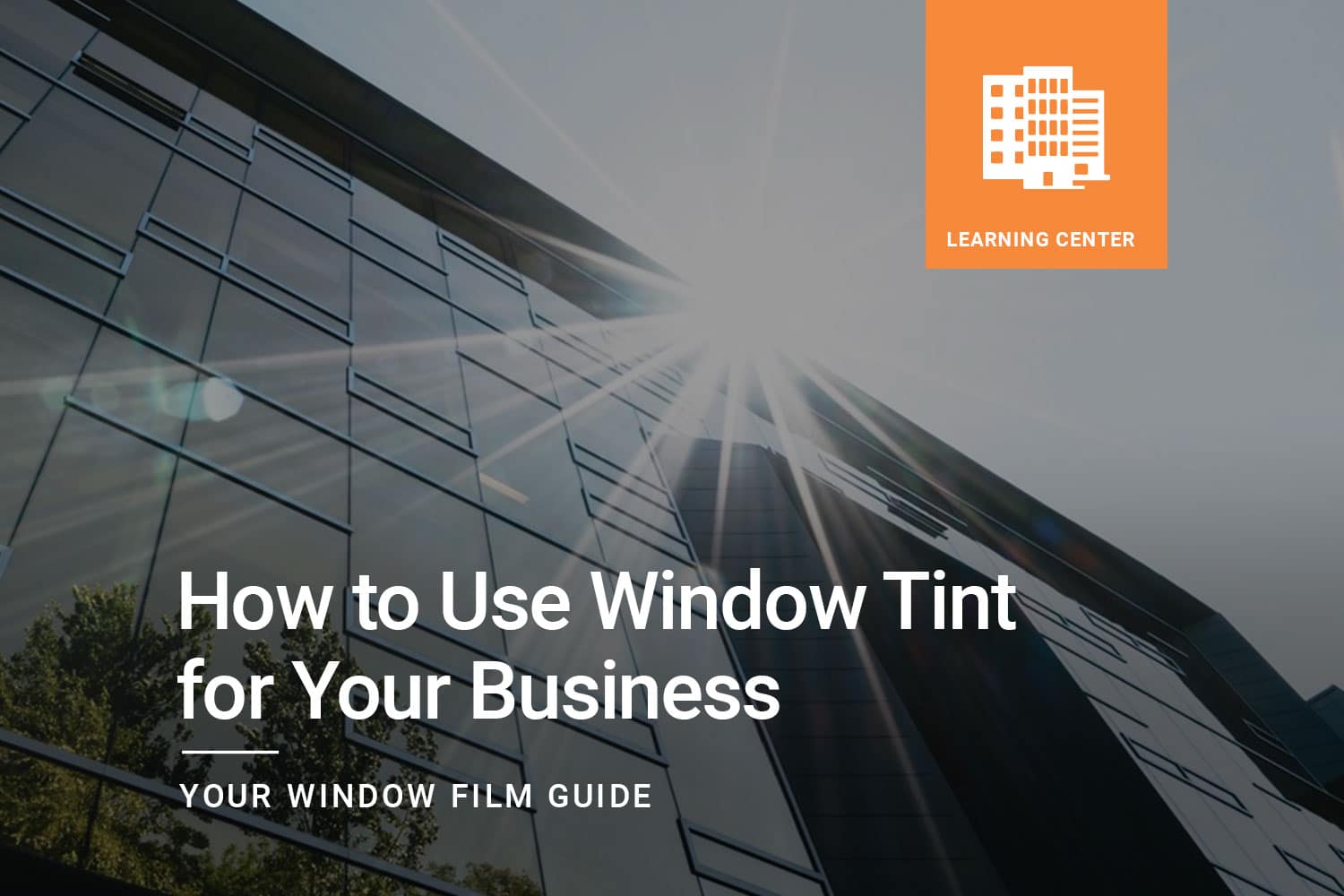 How to Use Window Tint for Your Business | ClimatePro