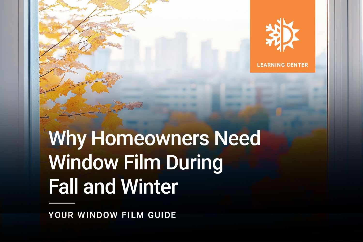 San Francisco Homeowners' Fall & Winter Window Film Needs | ClimatePro